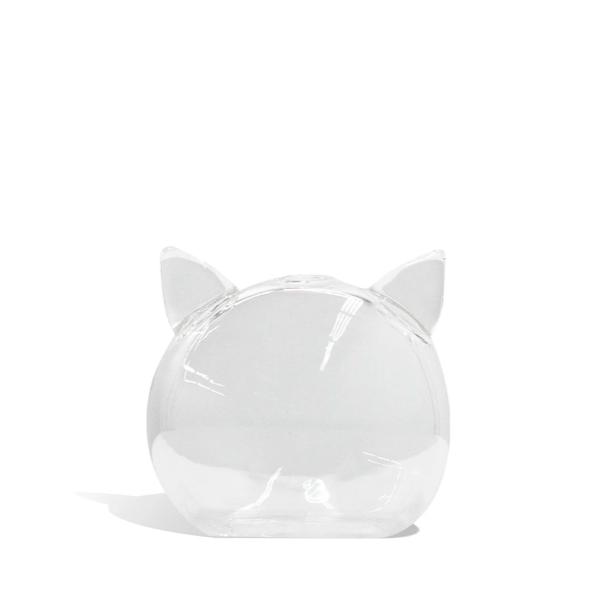 Adorable Whisker Bank For Kitty Whiskers!